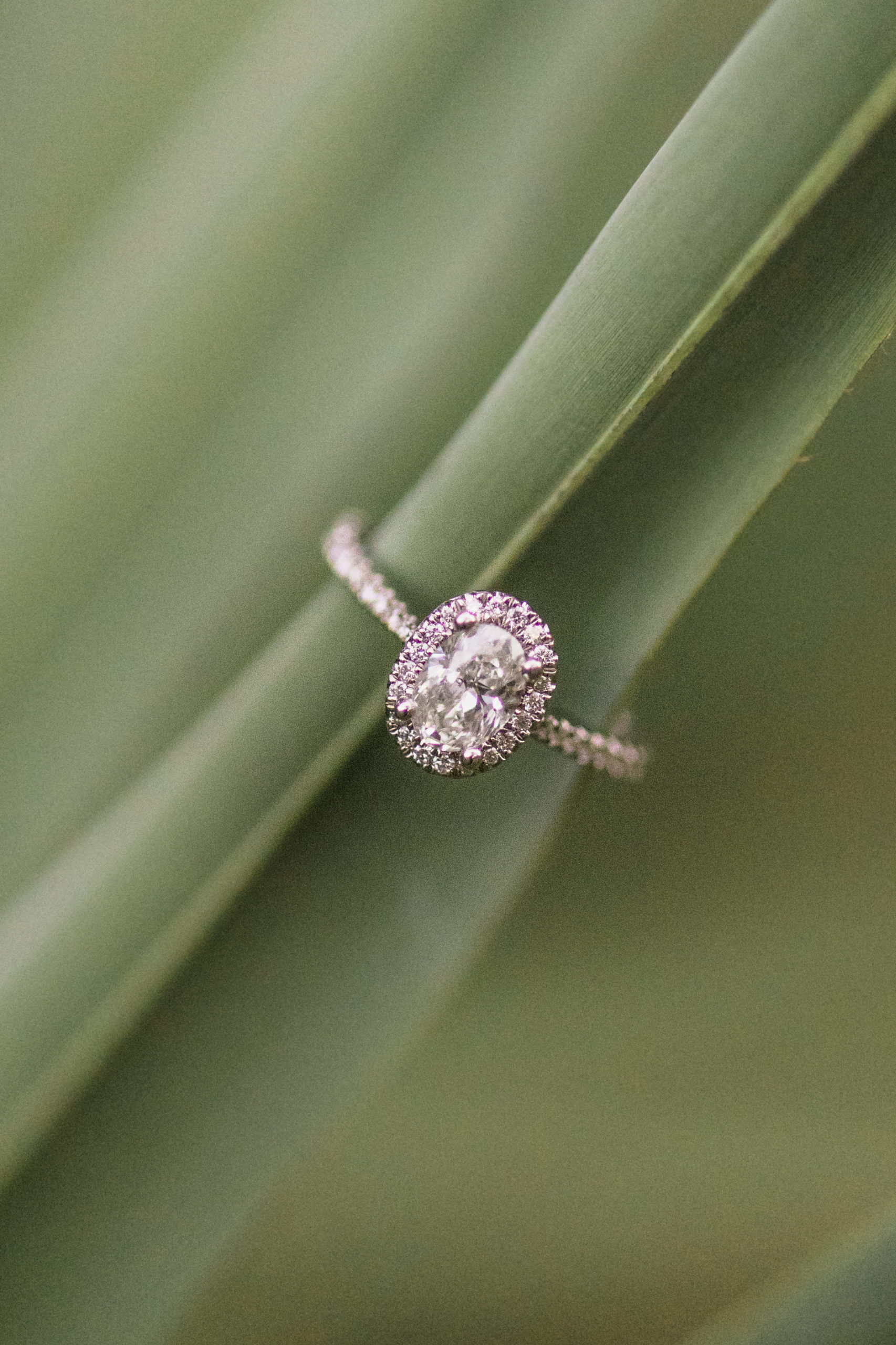 Best of 2020 | Engagement Ring Shots - stephaniemessick.com